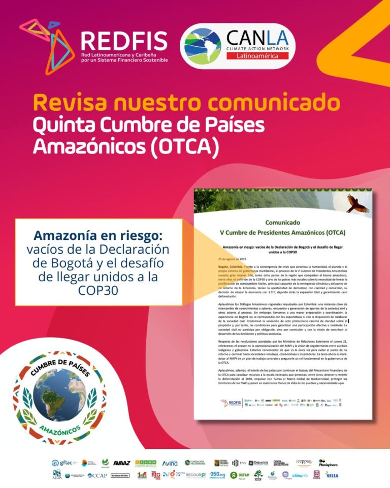 Comunicado V Cumbre de Presidentes Amazónicos (OTCA) – CANLA